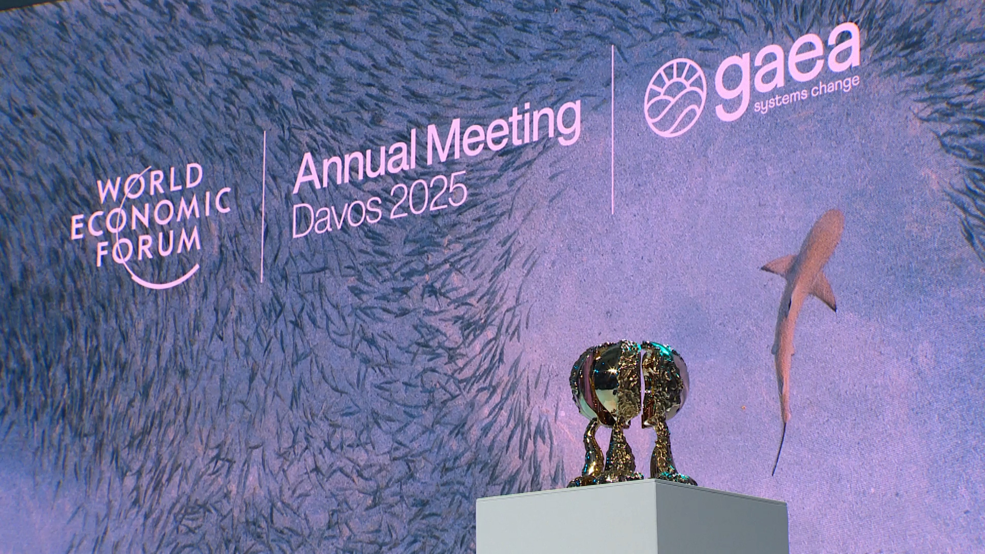 Davos hosts inaugural GAEA awards - Blakeney